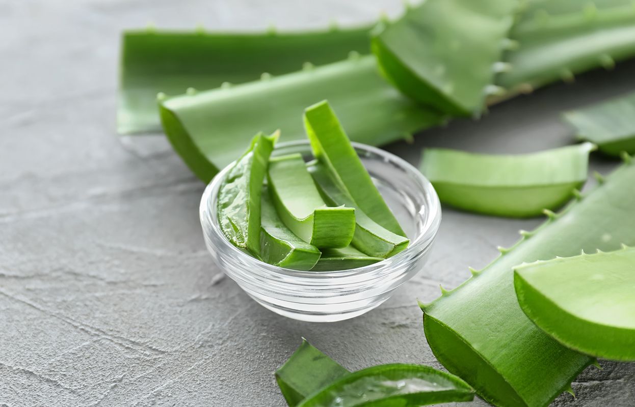 Aloe Vera and Its Uncountable Benefits for Hair